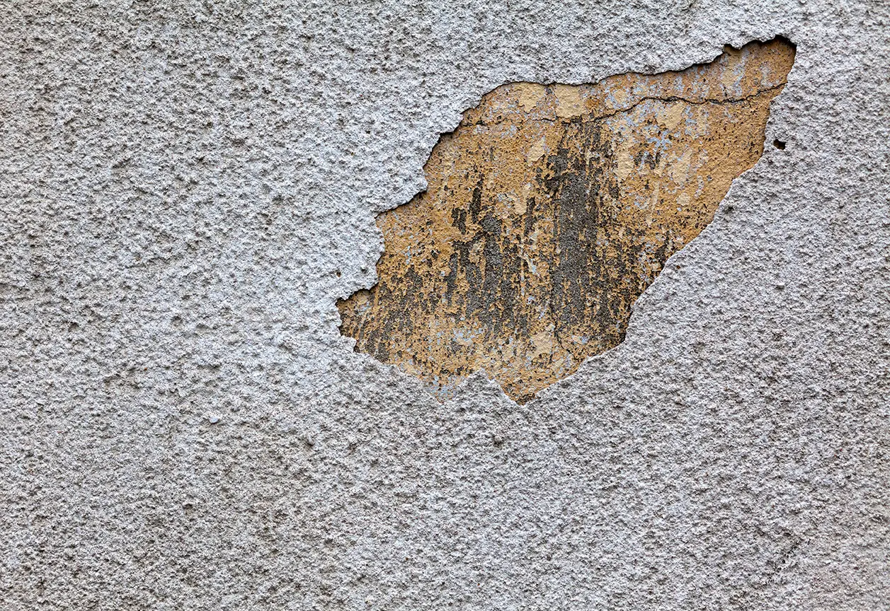 Vochtproblemen oplossen met gevelrenovatie | Complete gids 2025